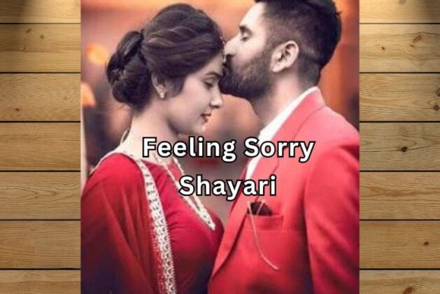 Top 36 Feeling Sorry Shayari Best Mafi Shayari In English